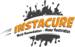 Mold Remediation – Mold Remediation – Mold Removal – Water Restoration ...